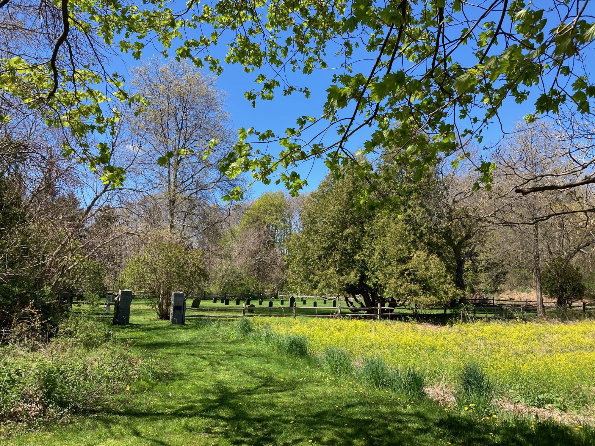 Burying Ground of the First Settlers - Salem Witch Museum