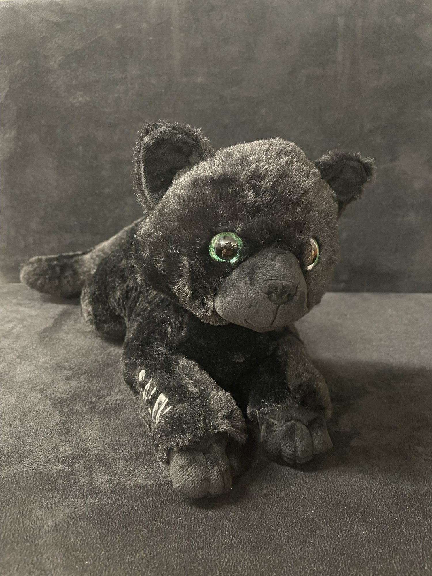 Salem the Black Cat - Salem Witch Museum
